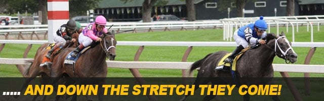 down-the-stretch | Peter Grandich